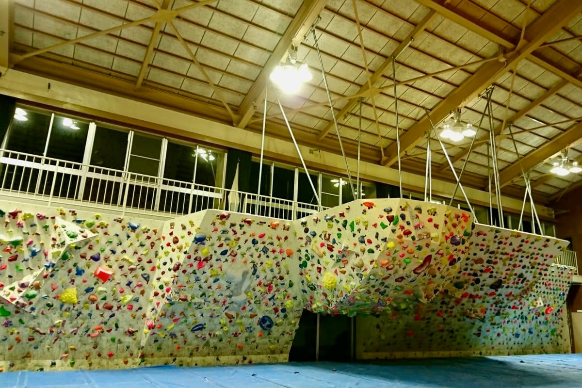 Miyakejima Island Perfect Guide- Things to do on Miyakejima island