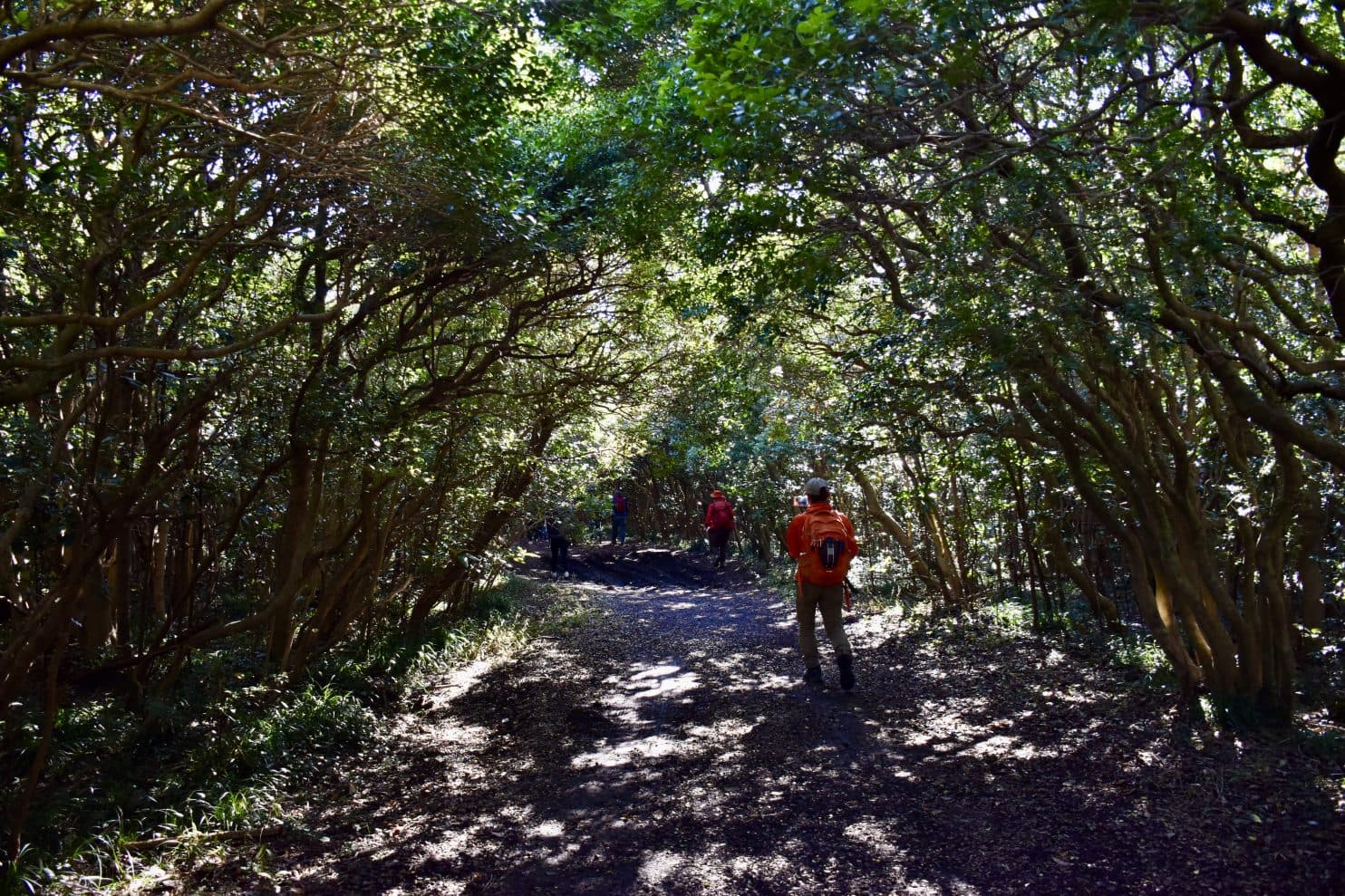 Adventure Tourism Possibilities in Japan - Report of the Volcanic ...